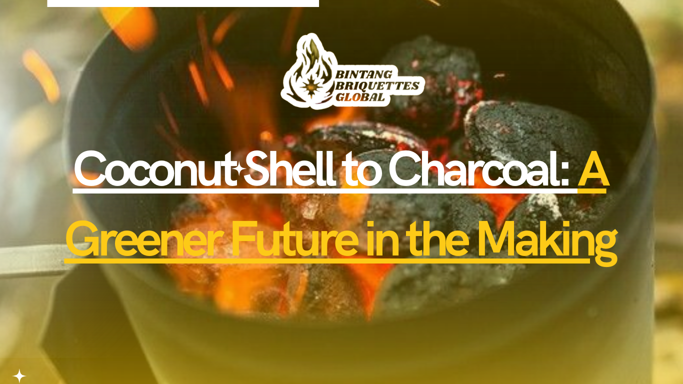 Coconut Shell to Charcoal: A Greener Future in the Making - Coconut ...