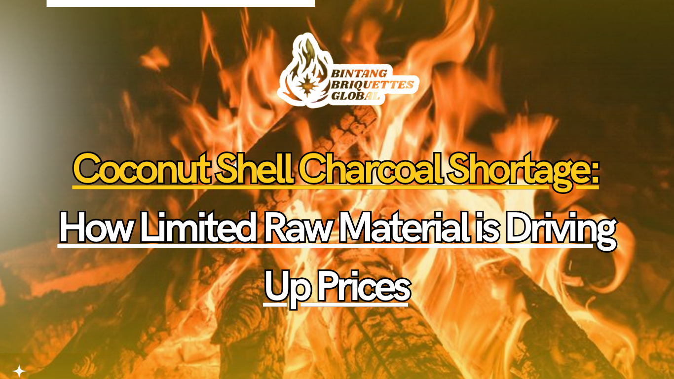 Coconut Shell Charcoal Shortage: How Limited Raw Materials Are ...